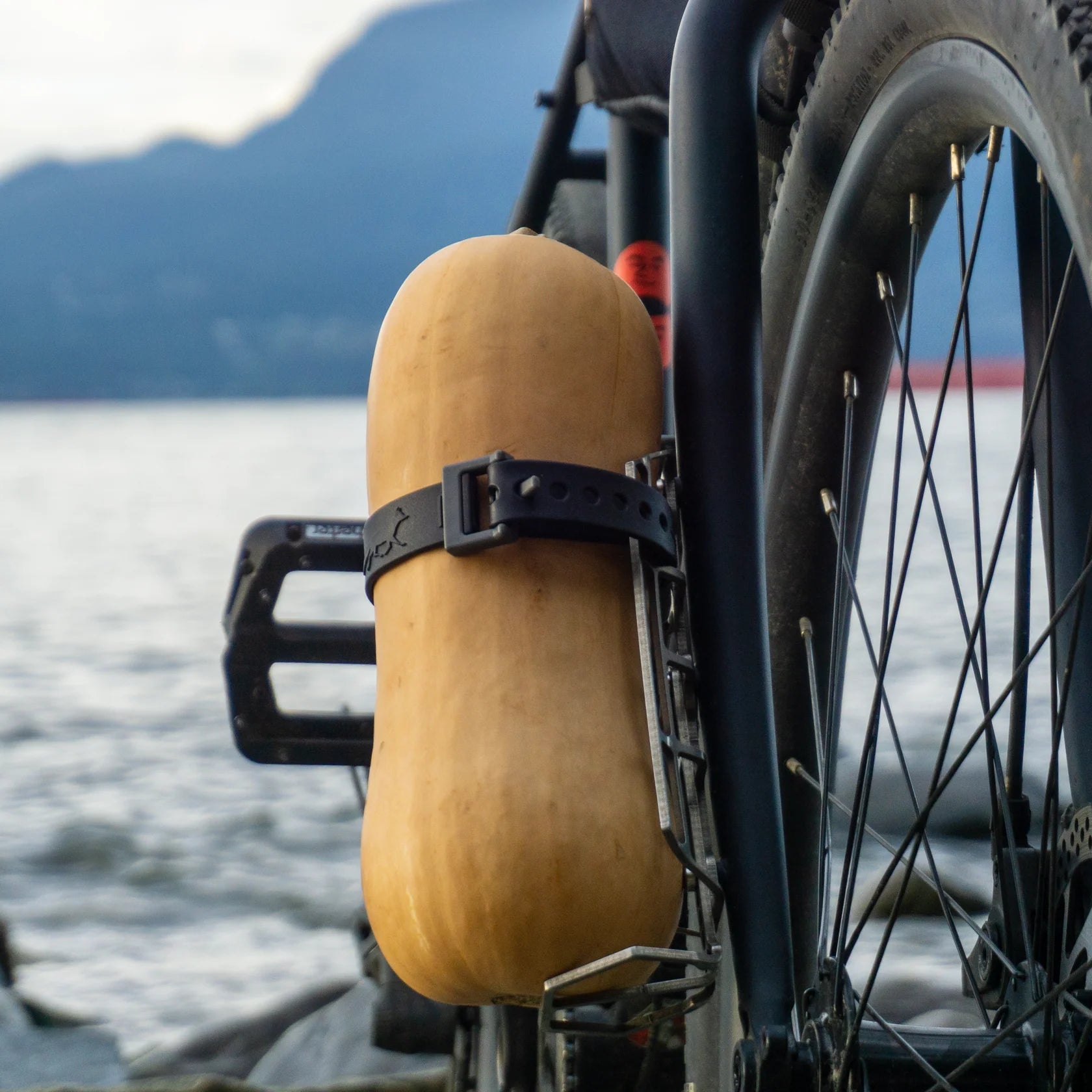 Fauna Components Cargo Cage | Dismount Bike Shop Toronto Canada